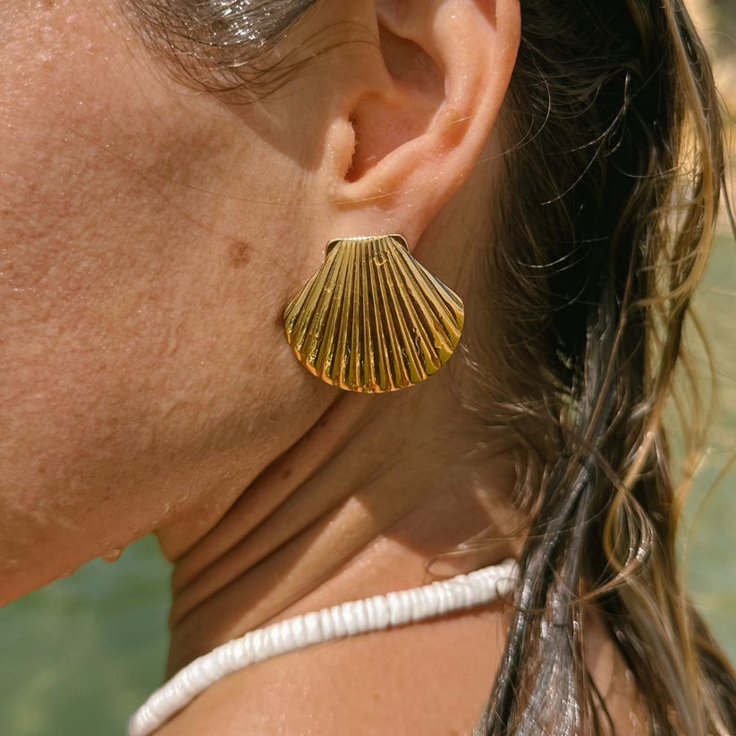Margot Earrings - Gold Shell Studs | Lightweight Statement – Goldieboxx Jewellery